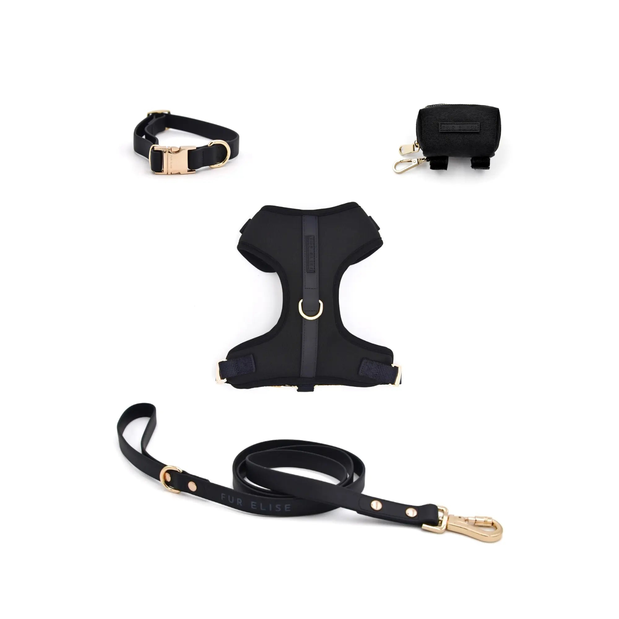The Essentials Walk Set - Noir - K9 Outdoors